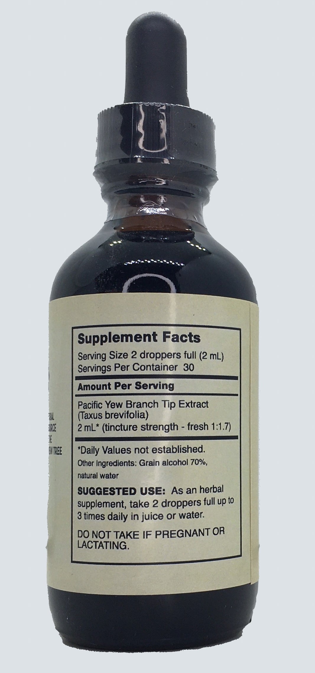 Yew Tip – Healthy Energetics