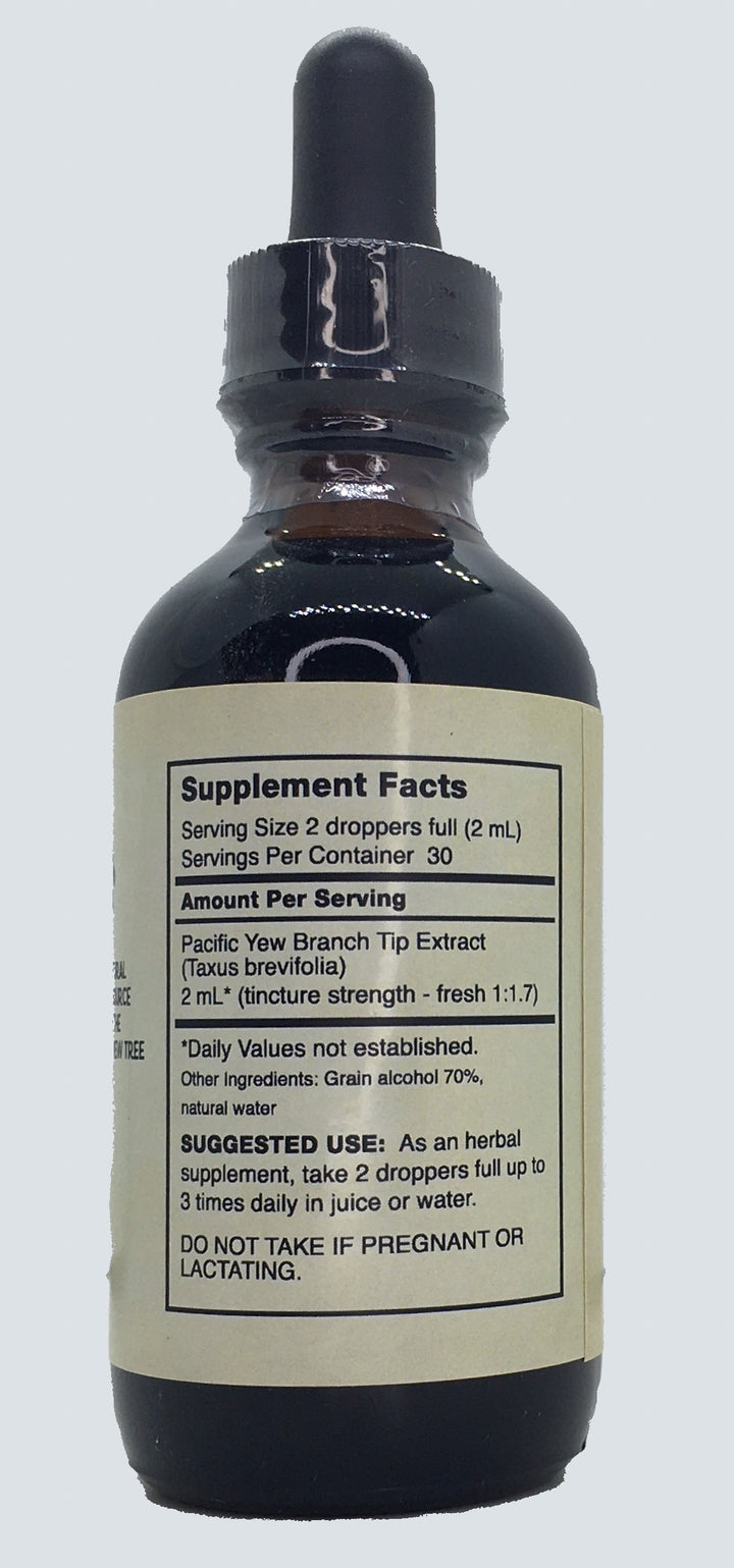 Yew Tip – Healthy Energetics